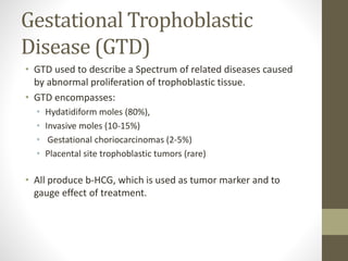 Gtd presentation | PPT