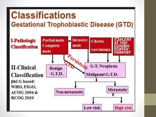 Gtd presentation | PPT