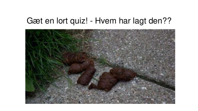 Gæt en lort quiz