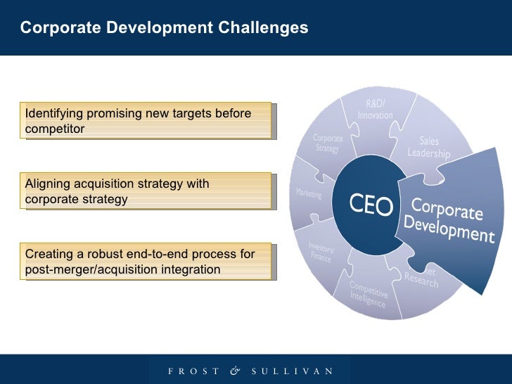 A Growth Driven CEO: Critical Elements to the CEO\'s Partnership Str…