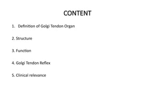 golgi tendon organ. Group presentation x | PPTX