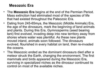 GTS paleozoic-Geomorphology Chapter-Geomorhology Chapter | PPT