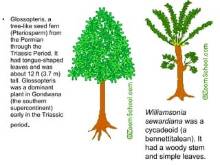 GTS paleozoic-Geomorphology Chapter-Geomorhology Chapter | PPT