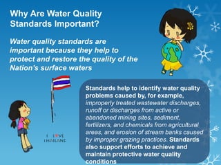 Water Quality Monitoring Acitvity | PPTX