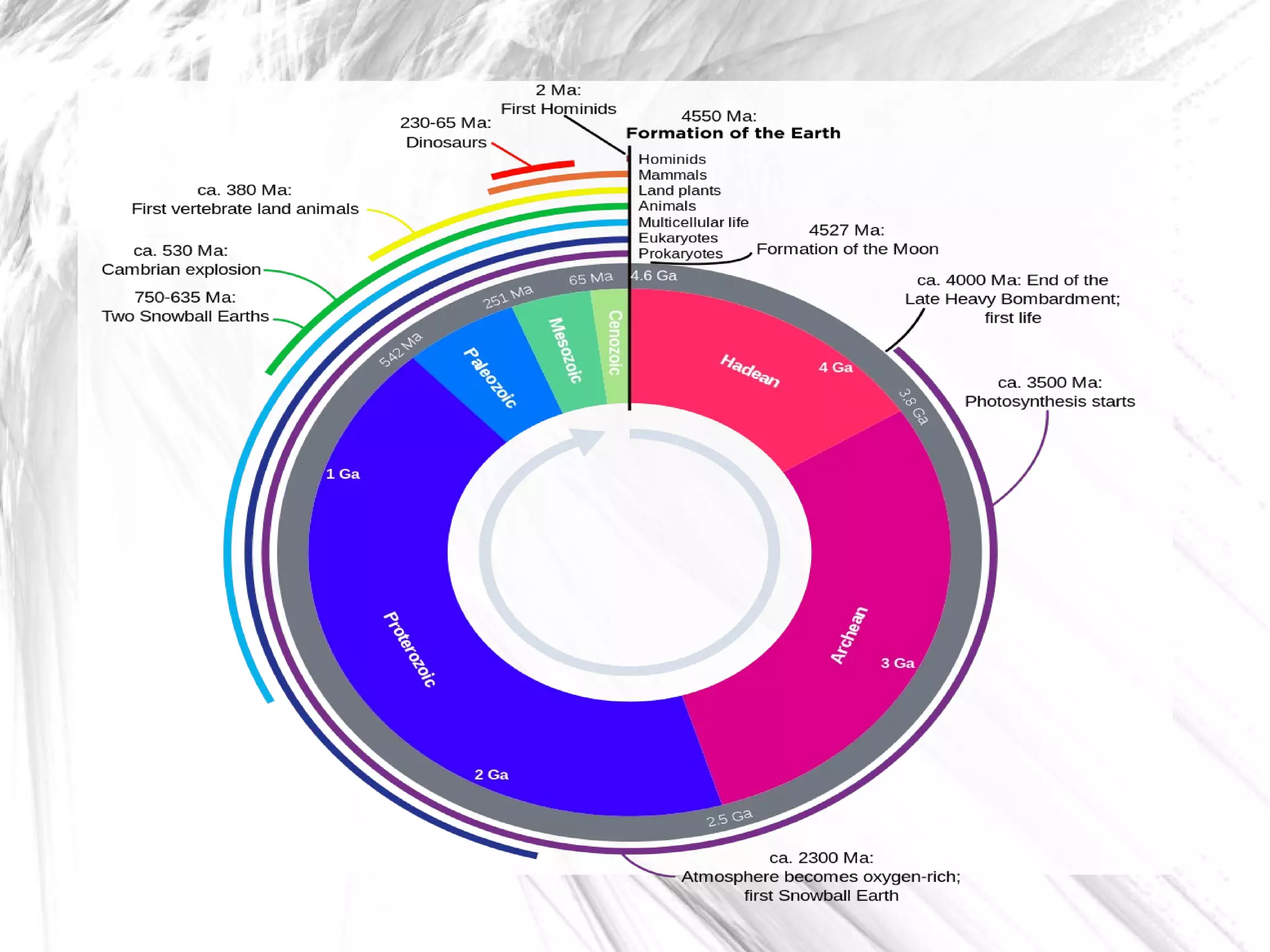 Geological Time Scale | PDF