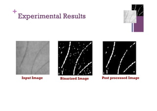 Features extraction for palmprint-based identification | PPT
