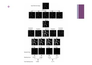 Features extraction for palmprint-based identification | PPT