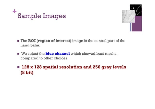 Features Extraction For Palmprint Based Identification Ppt