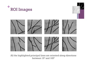 Features extraction for palmprint-based identification | PPT