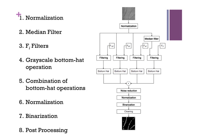 Features Extraction For Palmprint Based Identification Ppt
