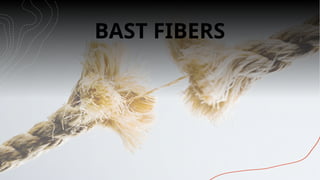 General Textile Technology Unit - 3.pptx | Free Download