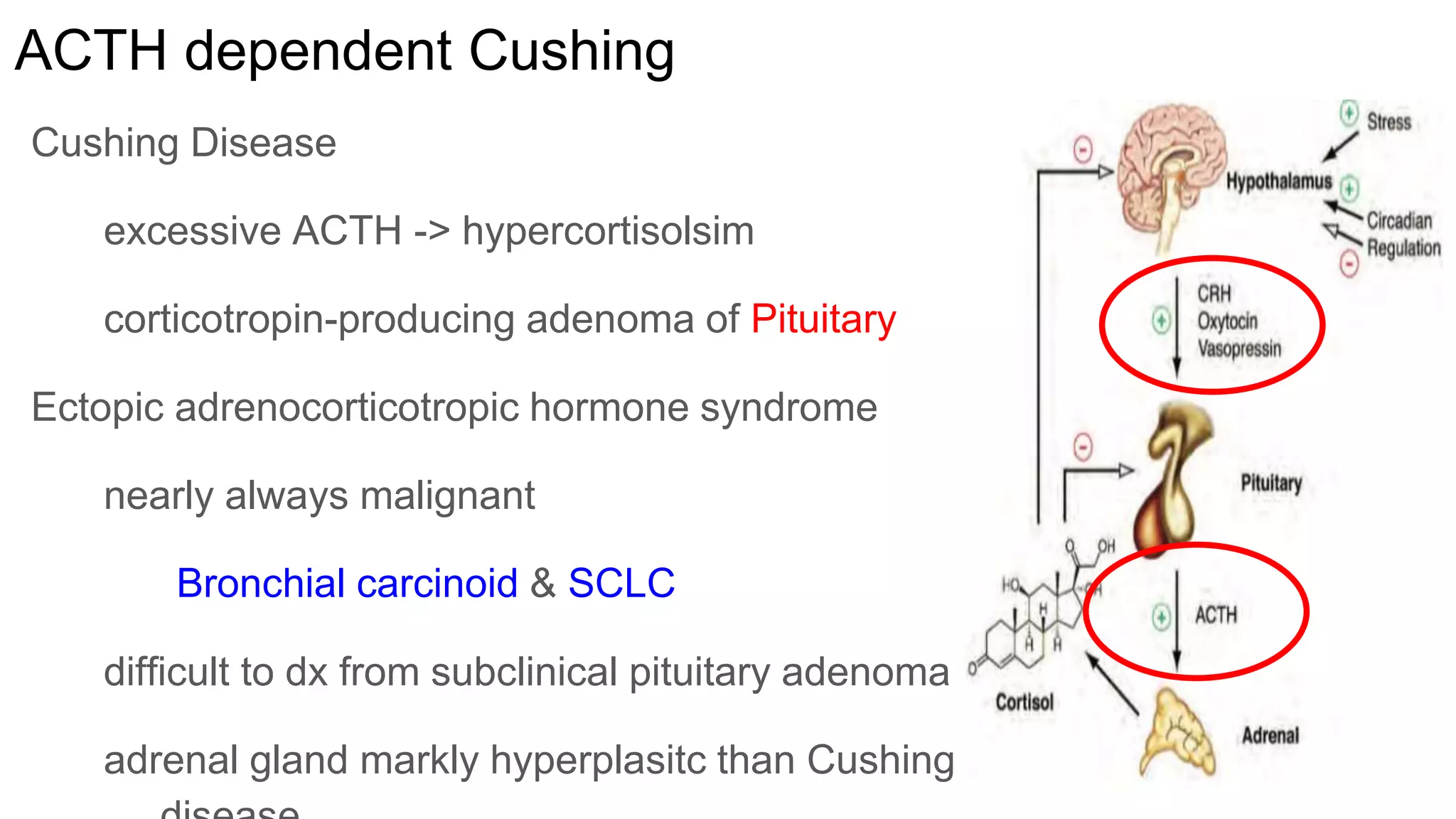 Cushing syndrome | PPTX