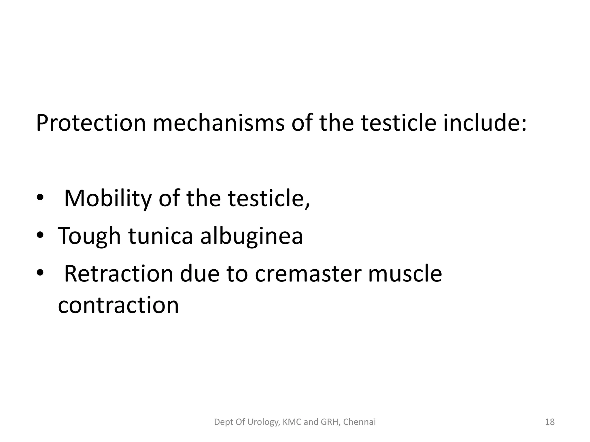 Gu trauma- external genitalia | PDF