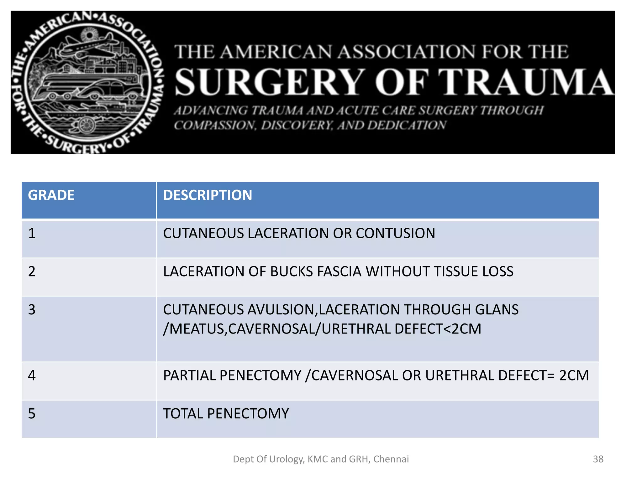 Gu trauma- external genitalia | PDF