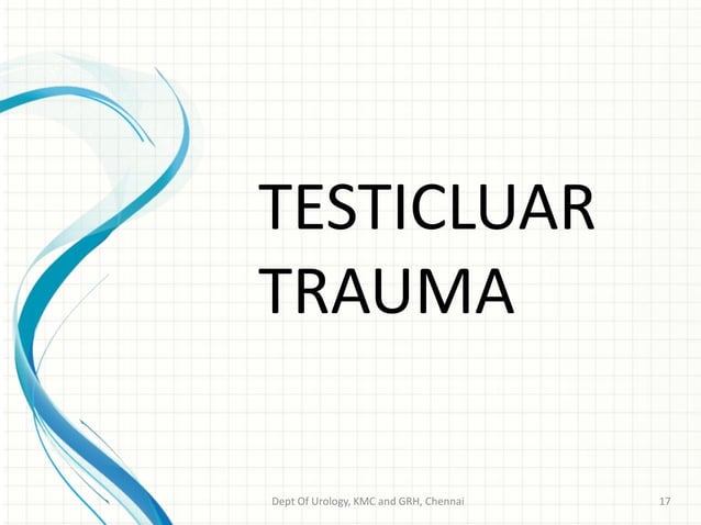 Gu trauma- external genitalia | PDF