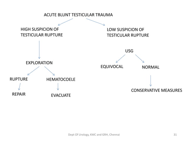 Gu trauma- external genitalia | PDF