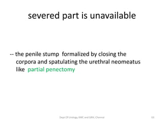 Gu trauma- external genitalia | PDF