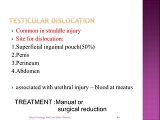 Gu trauma- genital | PDF