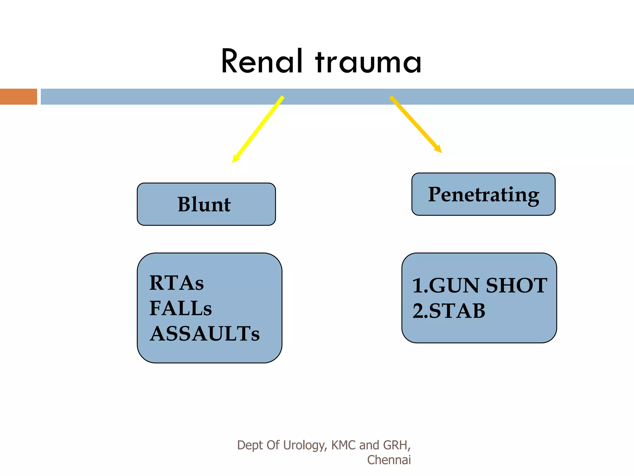 Gu trauma- renal 1 | PPT | Free Download