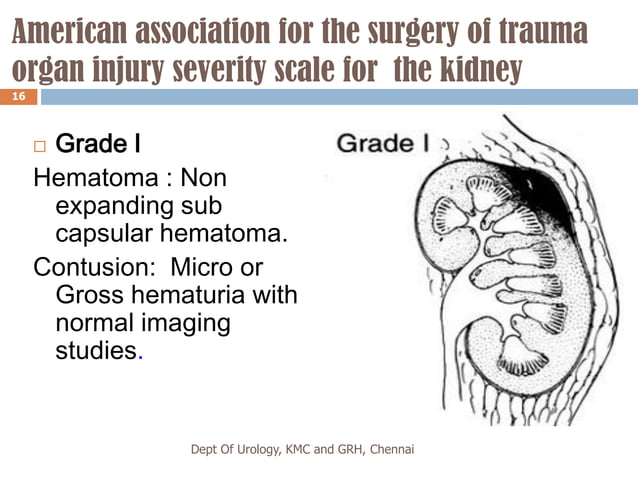 Gu trauma- renal 1 | PPT