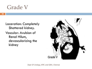 Gu trauma- renal 1 | PDF