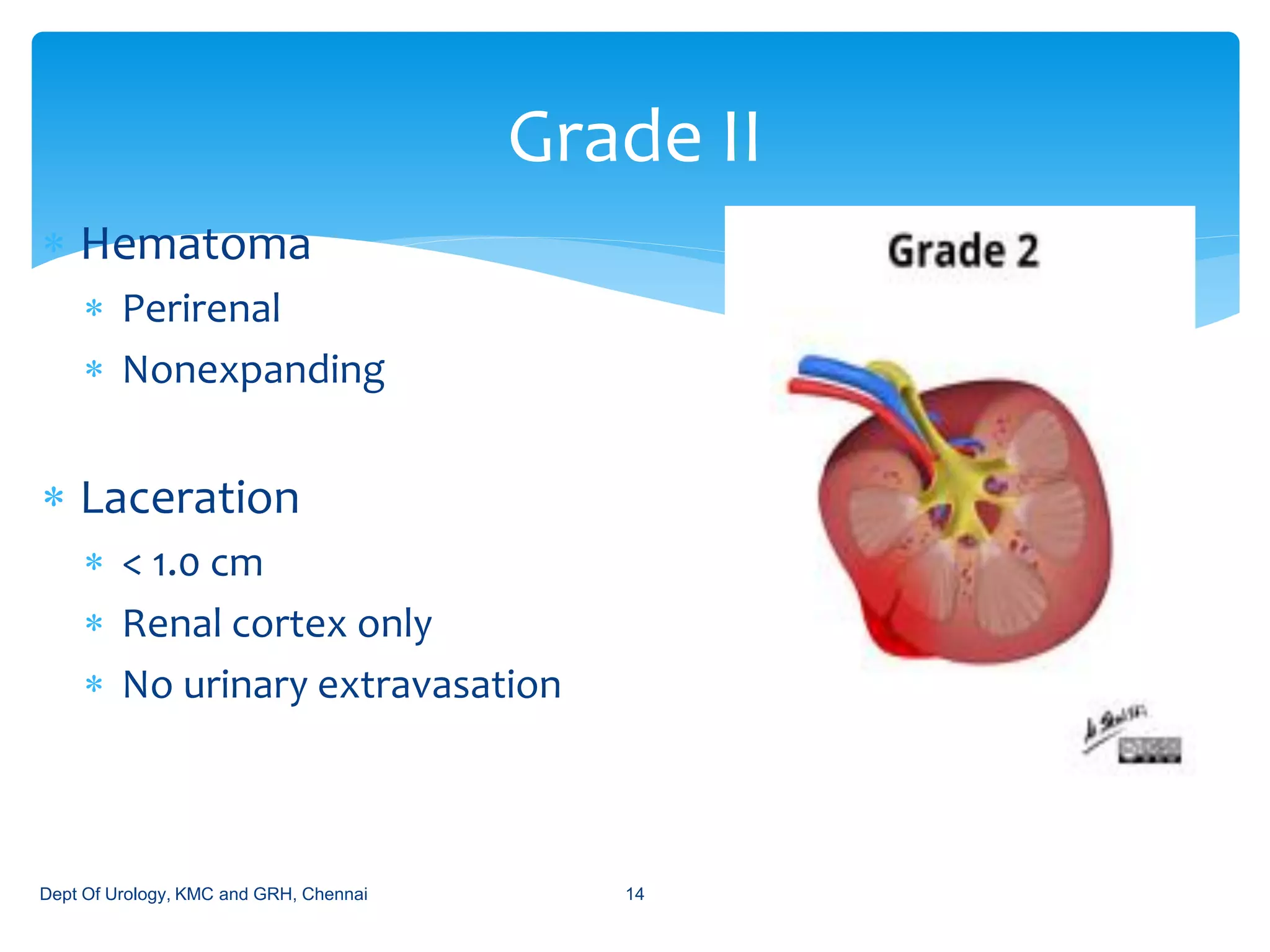Gu trauma- renal 2 | PDF