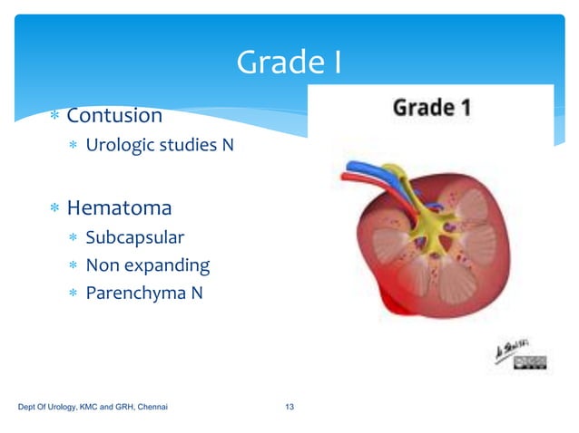 Gu trauma- renal 2 | PPT