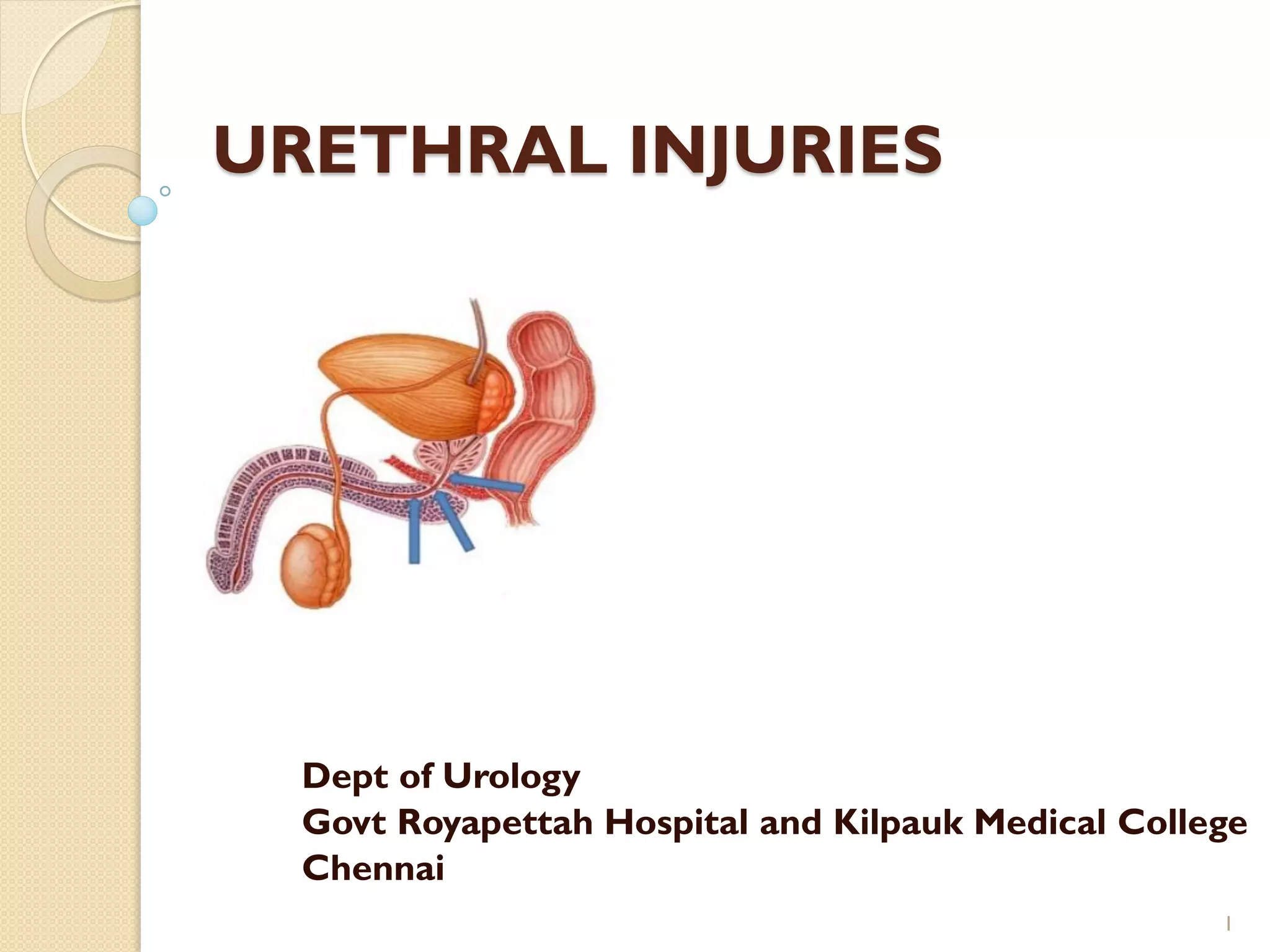 Gu trauma- urethra | PDF