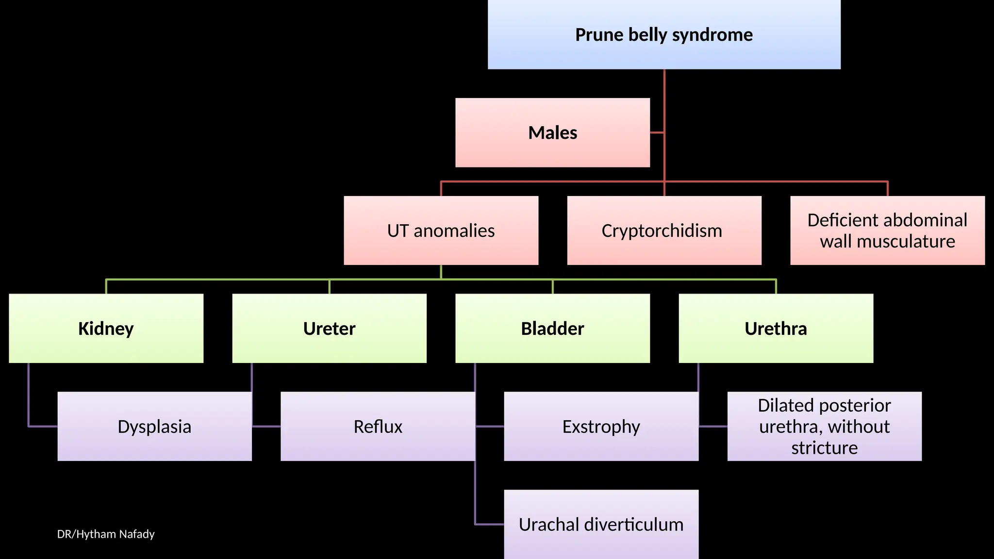 GU radiology part 4 .pptx cases and items | PPT