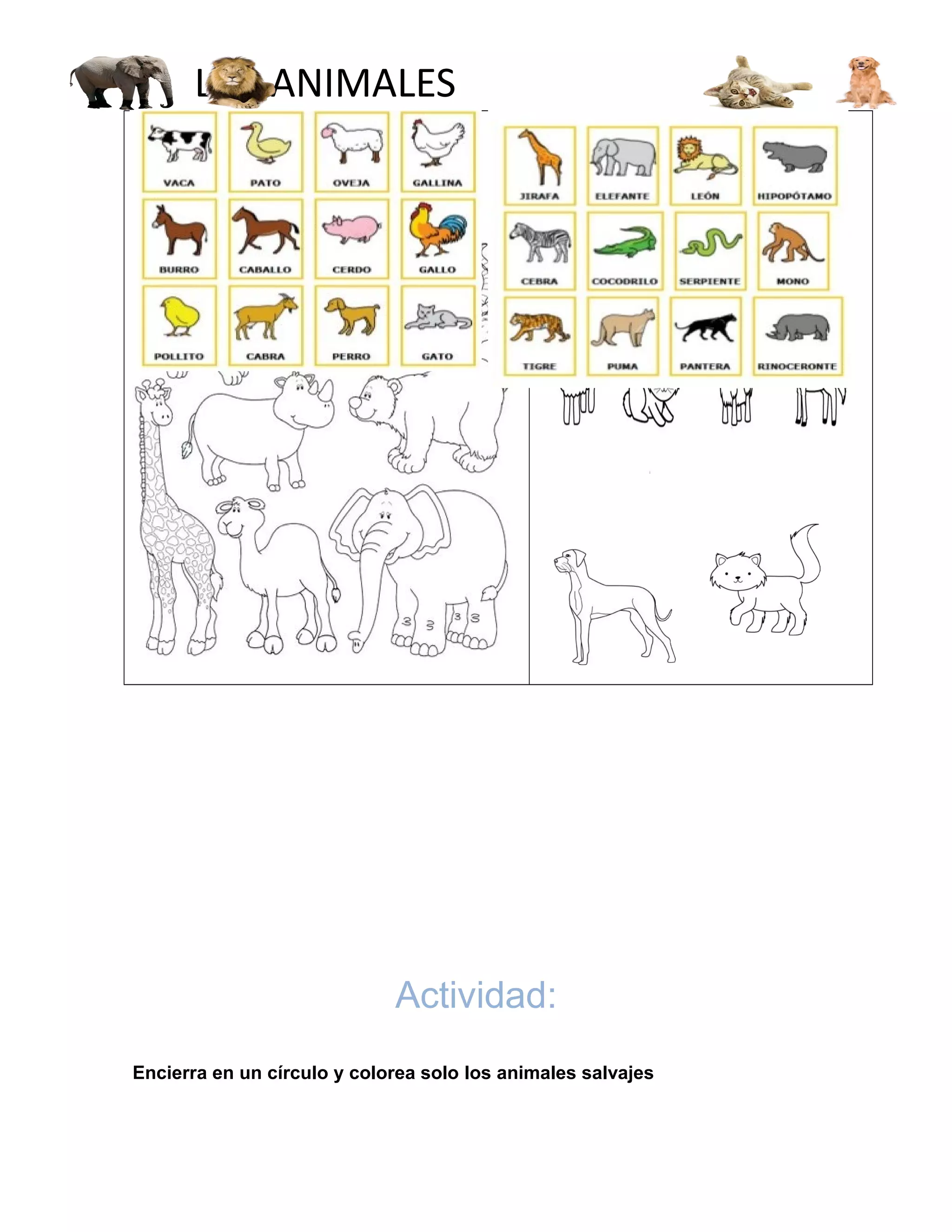 Guía 2.0 animales | ODT