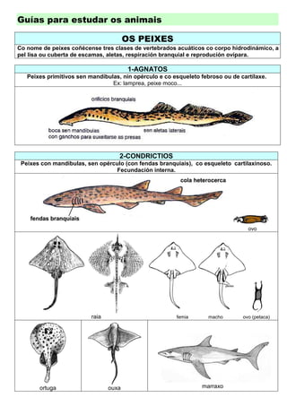 Guía animais (peixes) | PDF