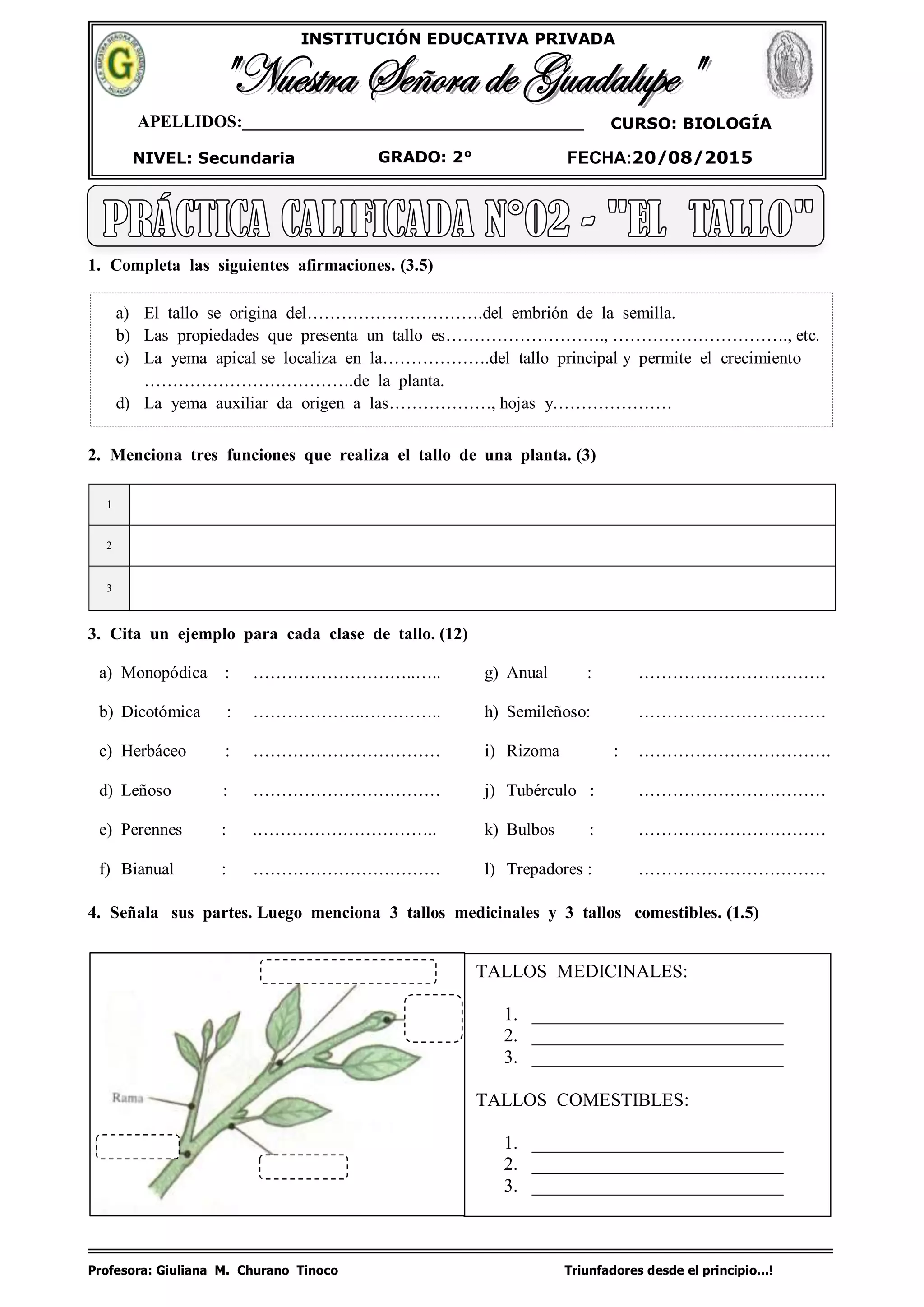 Guía botánica tallo | PDF