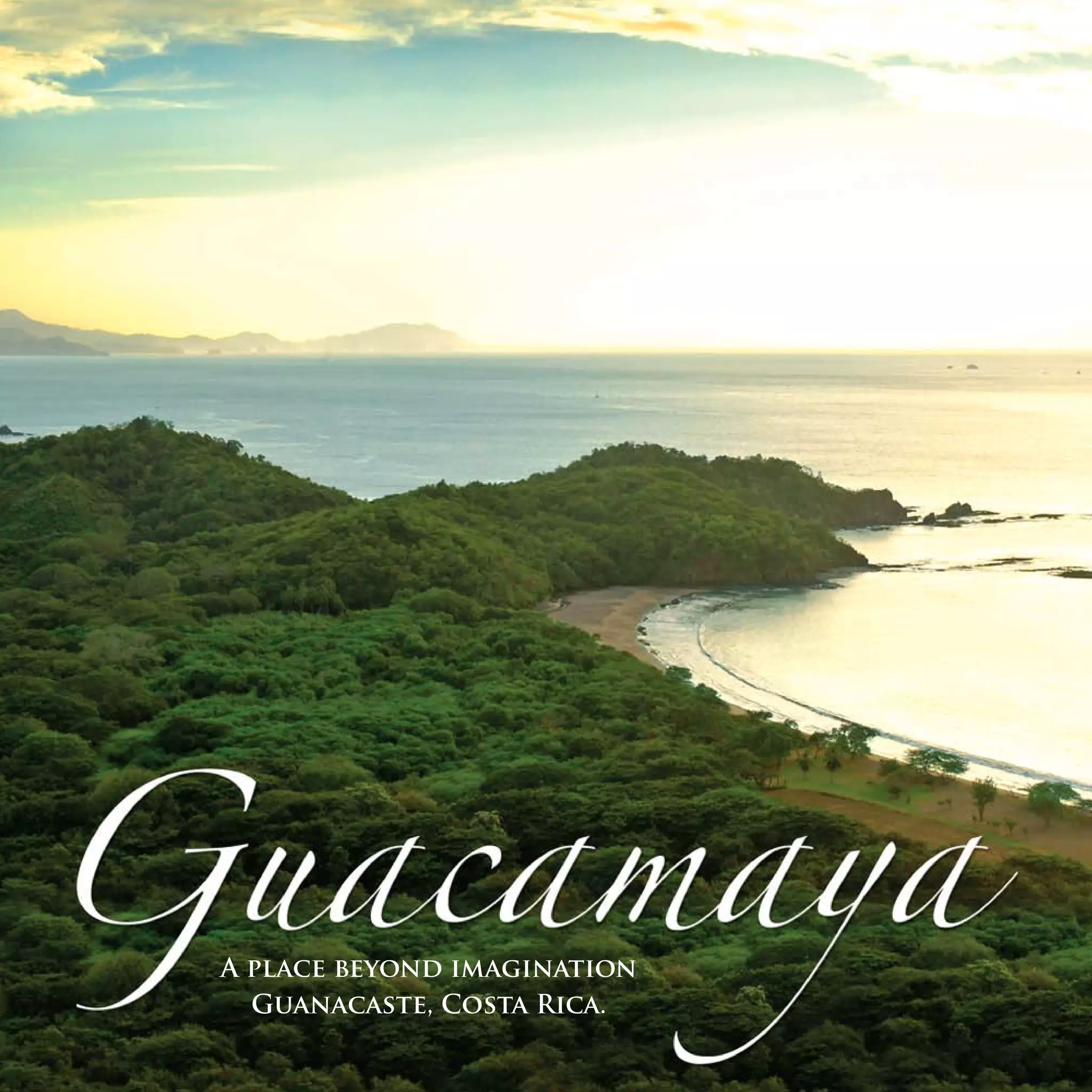 Guacamaya overview book feb 2009 | PDF