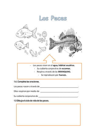 Guía de aprendizaje los vertebrados 2º básico | DOCX
