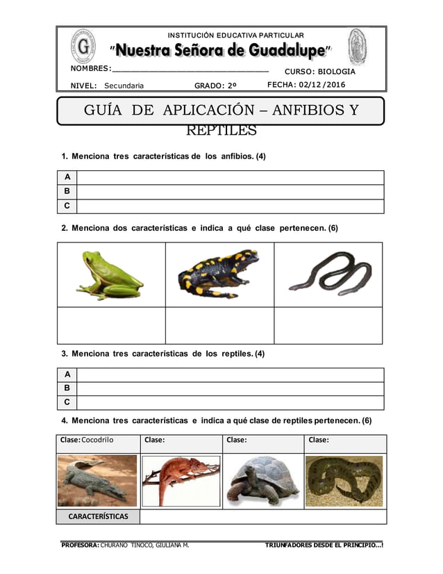 Guía de reptiles y anfibios | DOCX