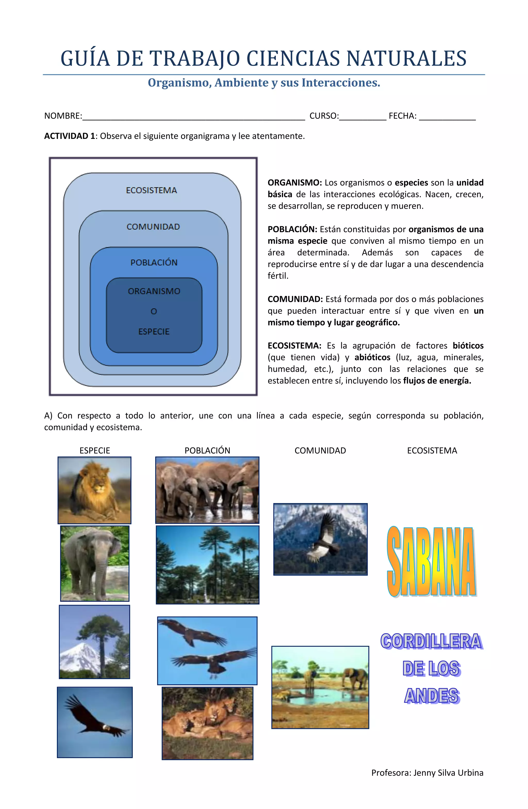 Guía de trabajo Interacciones de los Seres Vivos | DOCX
