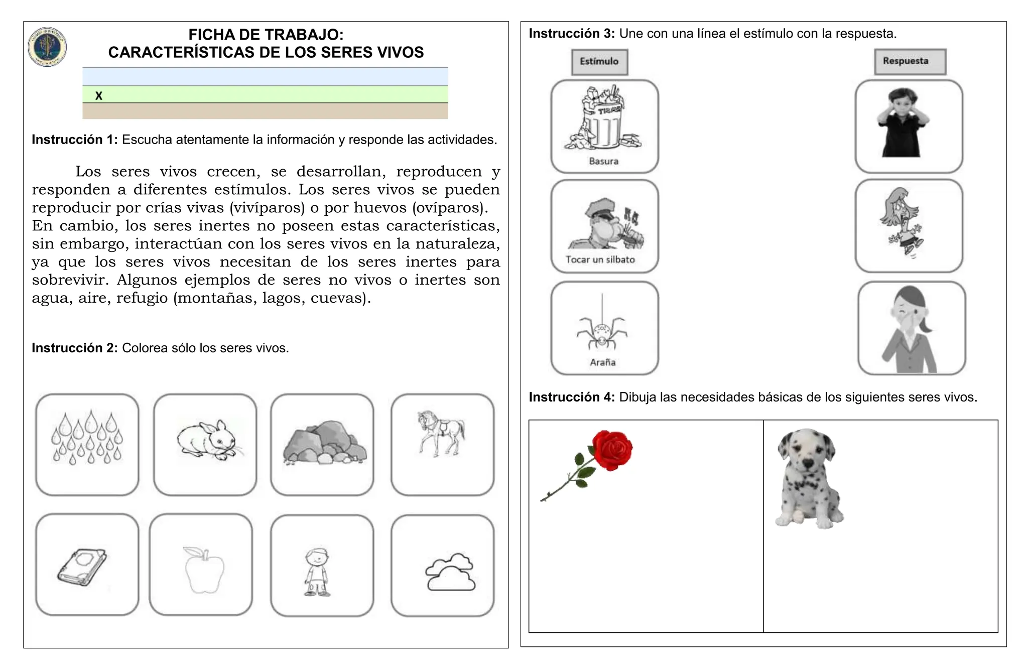 Guía de trabajo seres vivos y materia inerte | DOCX