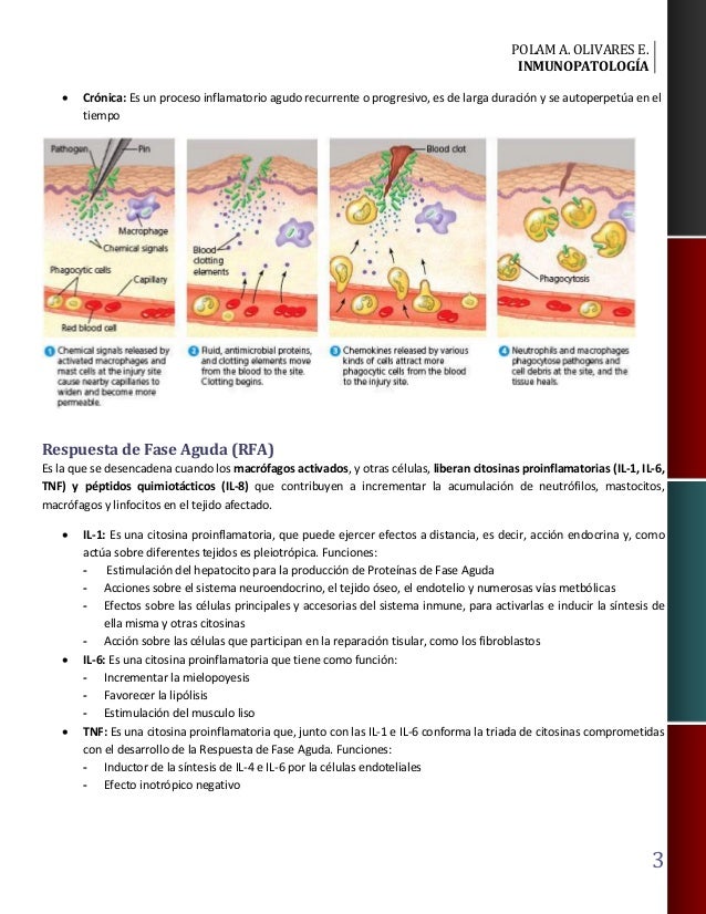Respuesta Inmunitaria: Innata, Inflamatoria, de Fase Aguda y Adaptati…