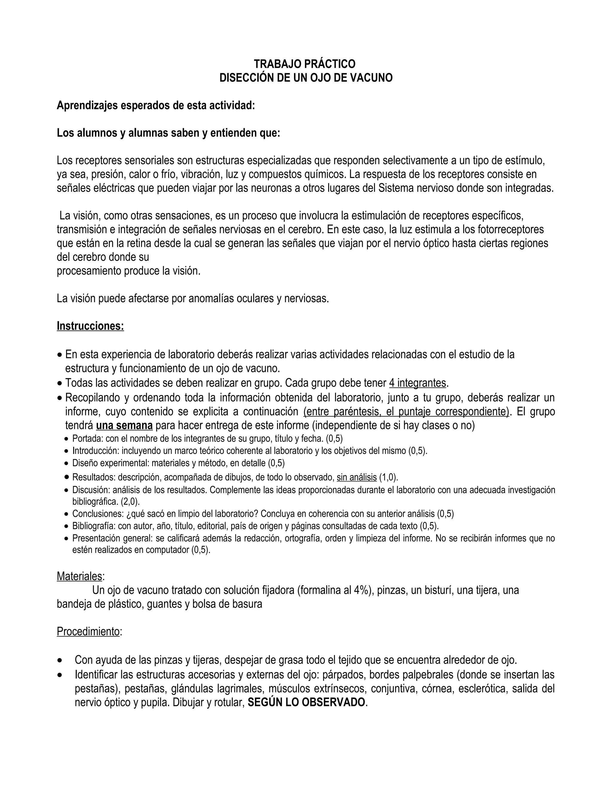 Guía lab disección ojo | DOC