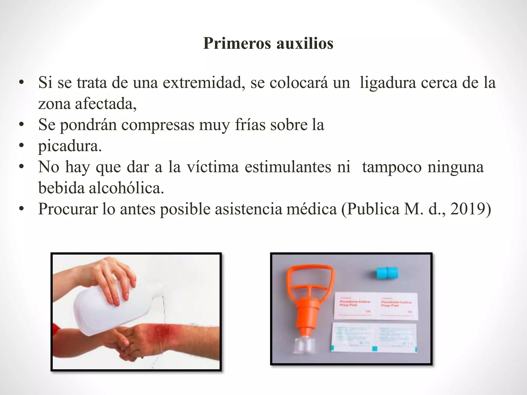 Guaman fonseca-zapata-mordeduras-y-picaduras | PPTX