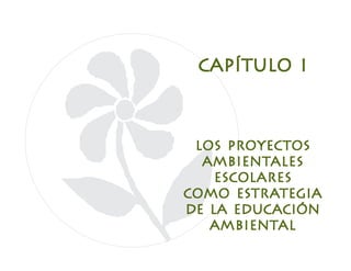 Guía metodológica para la formulación de prae | PDF