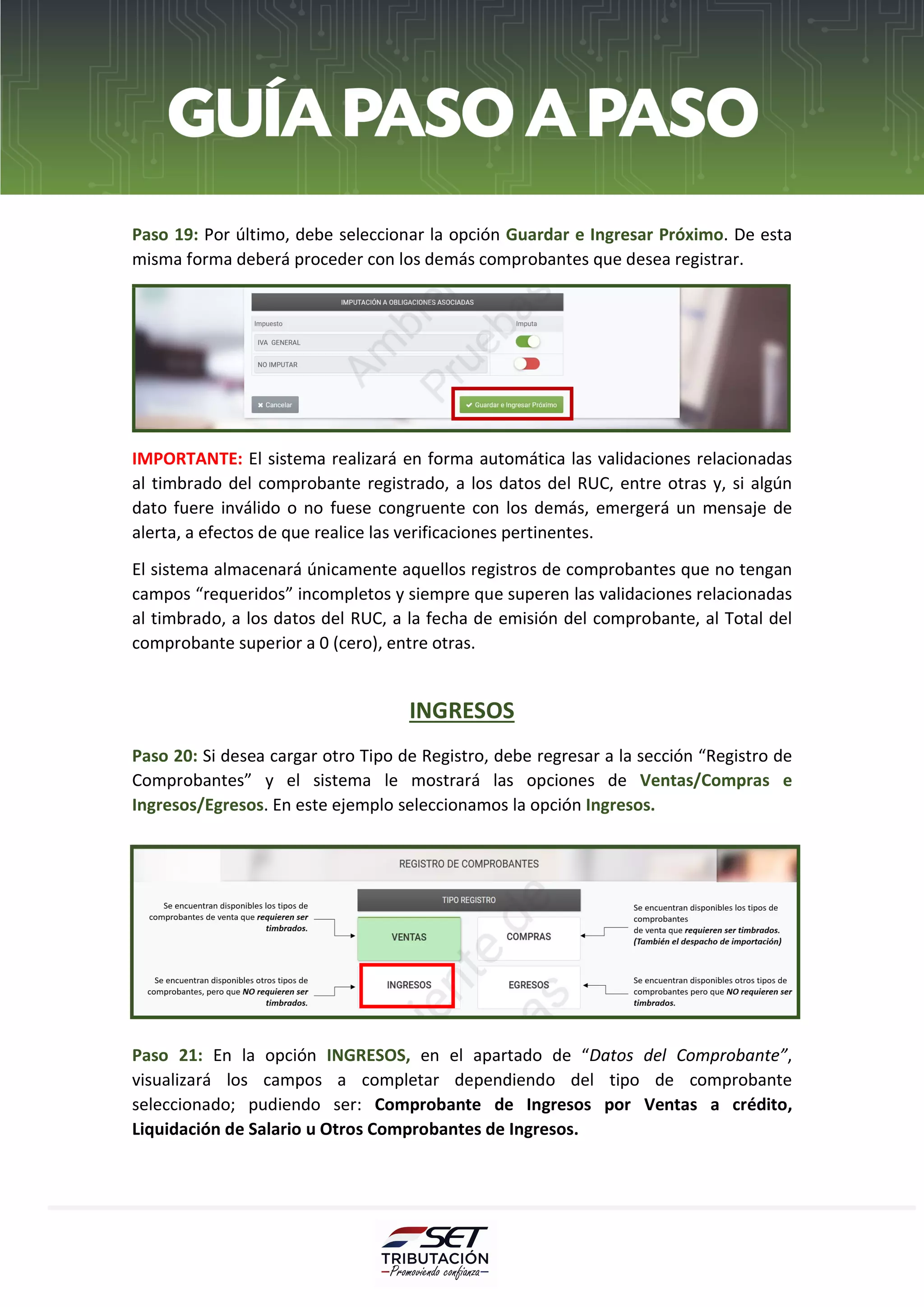 Guía Paso a Paso - Registro Manual de Comprobantes en el Sistema ...