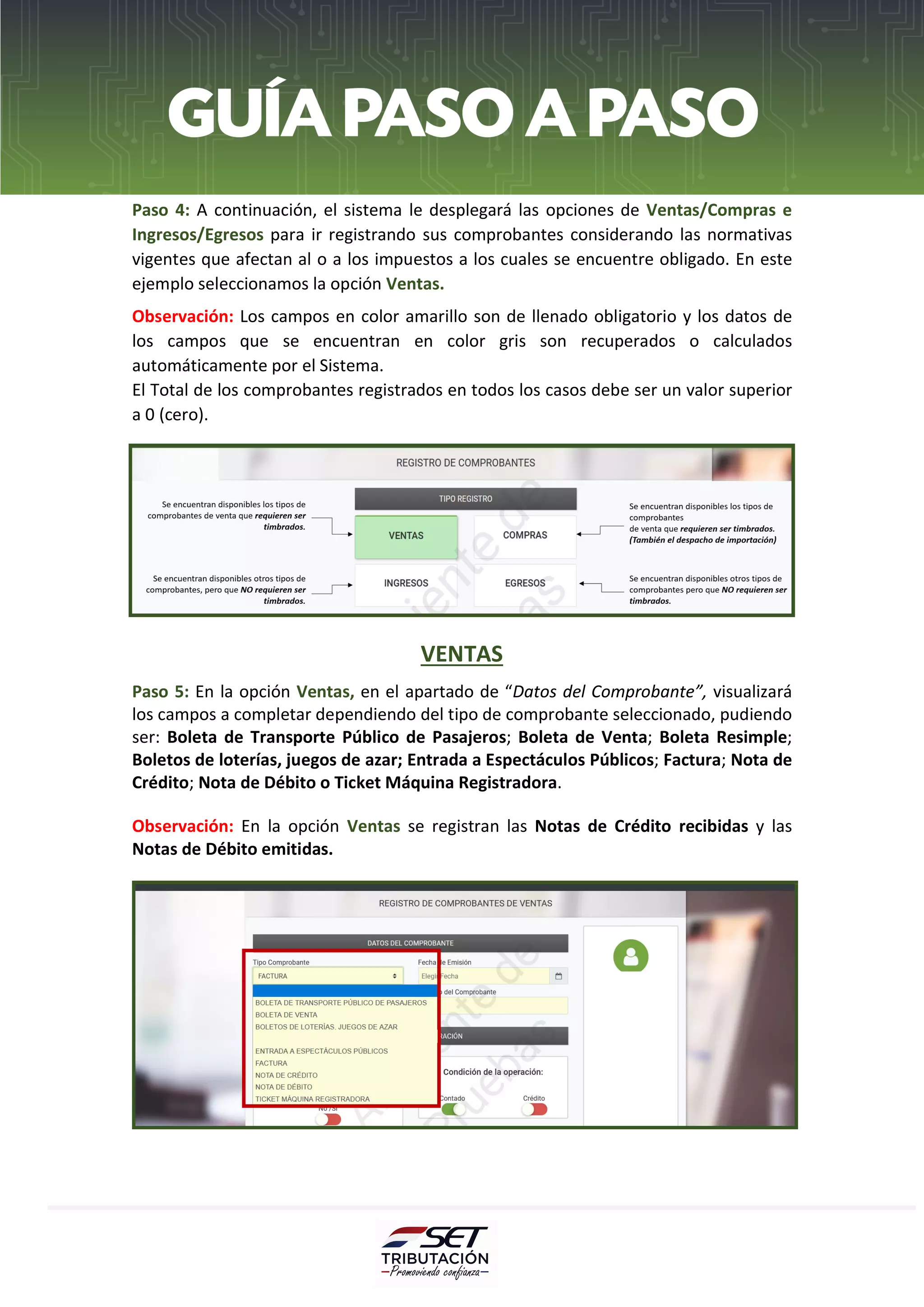Guía Paso a Paso - Registro Manual de Comprobantes en el Sistema ...