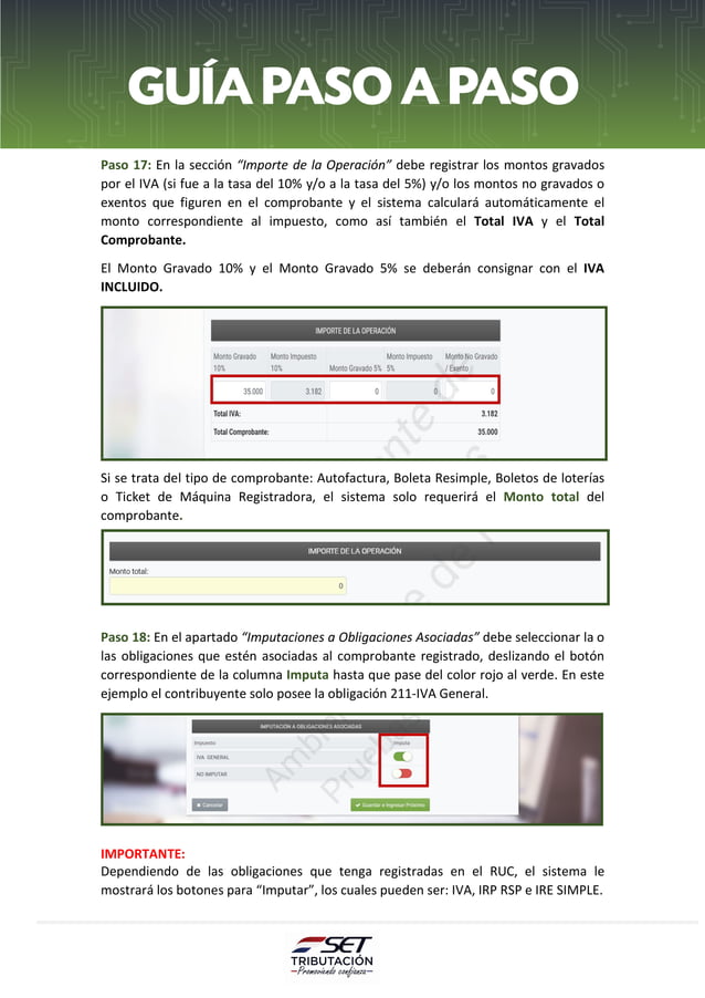 Guía Paso a Paso - Registro Manual de Comprobantes en el Sistema ...