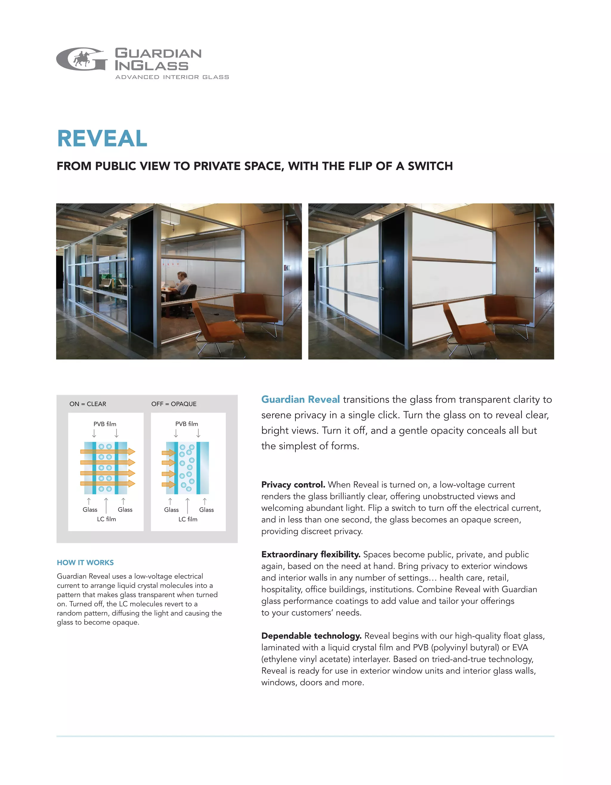 Guardian Reveal | PDF