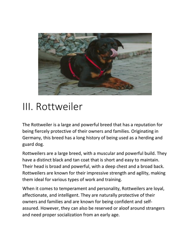 Guardians The Top 5 Protective Dog Breeds.pdf | Dogs | Pets