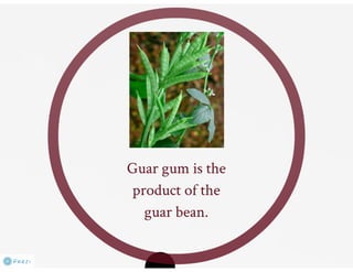What is guar gum? | PPT