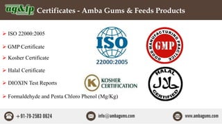 Guar gum powder supplier and exporters | PPT