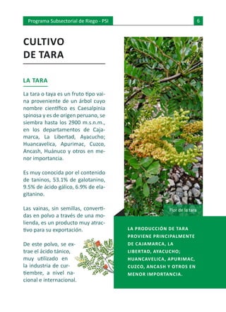 Guía Tecnológica de Cultivo de Tara (FINAL) - PSI.pdf