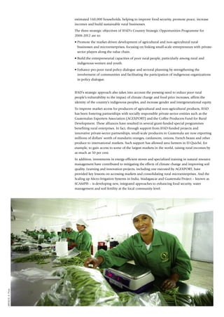 Rural Poverty in Guatemala | PDF